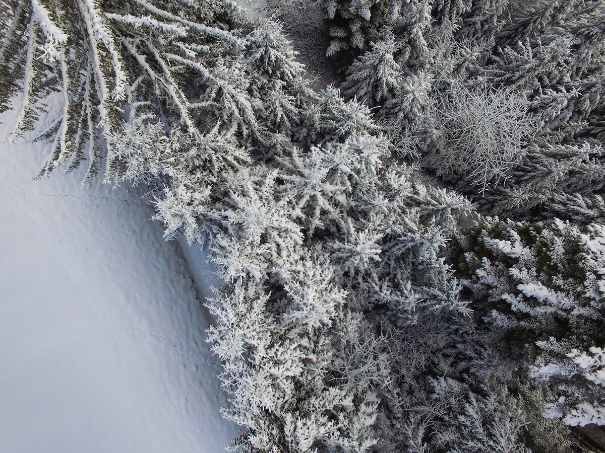 Vertical Photography Nr. 1 - Franziska Stocker